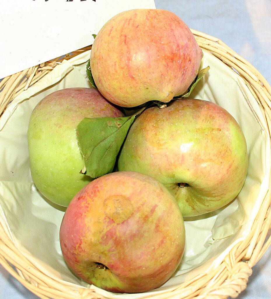 Jürgen Dollase, Himmel und Erde